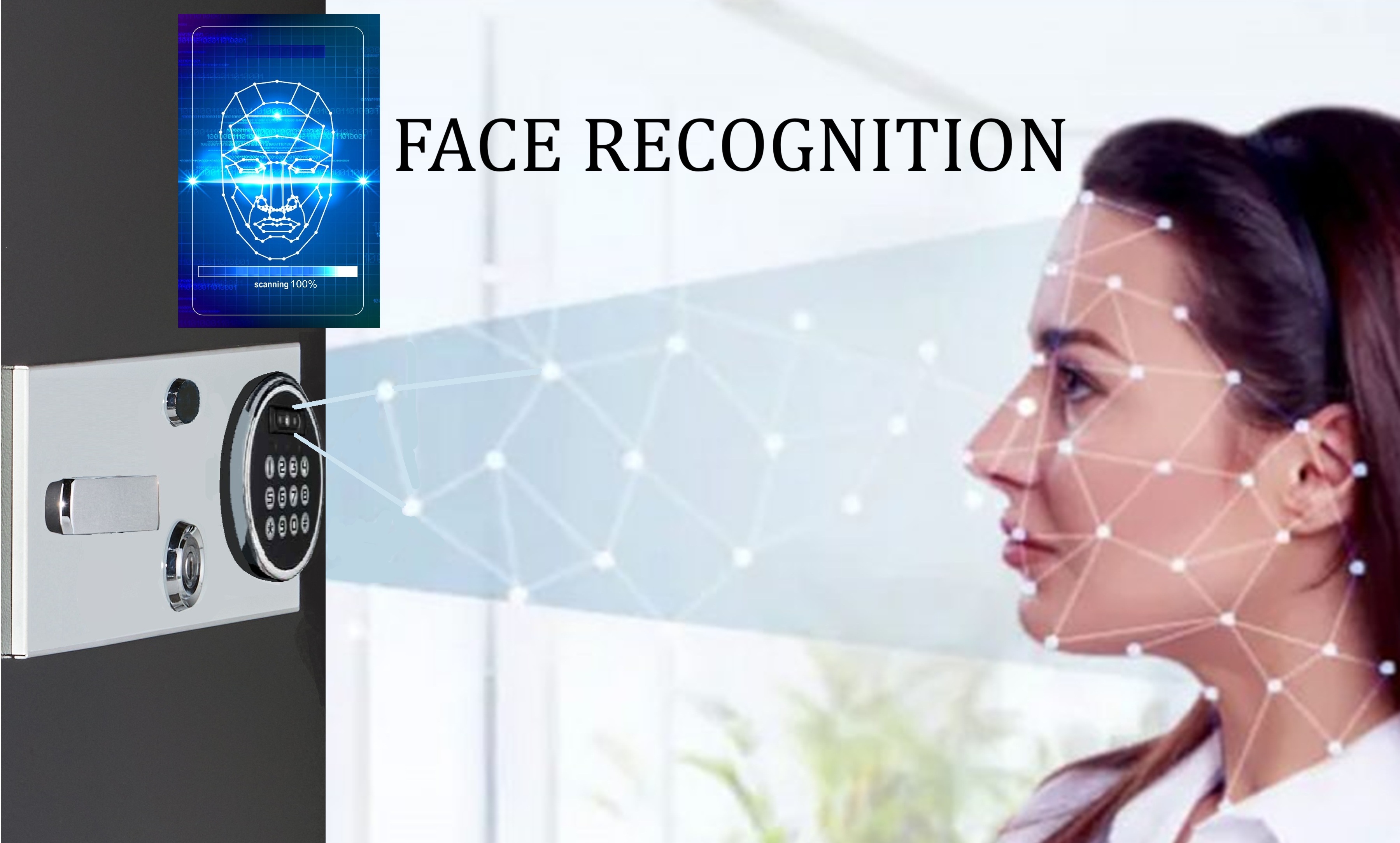Fire Resistant Digital Face Scan Lock Safe